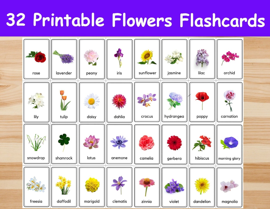 32 Flowers Flashcards / Image Cards for Kids, Preschoolers ...