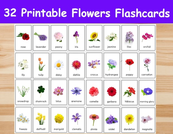 32 Flowers Flashcards / Image Cards for Kids Preschoolers. - Etsy