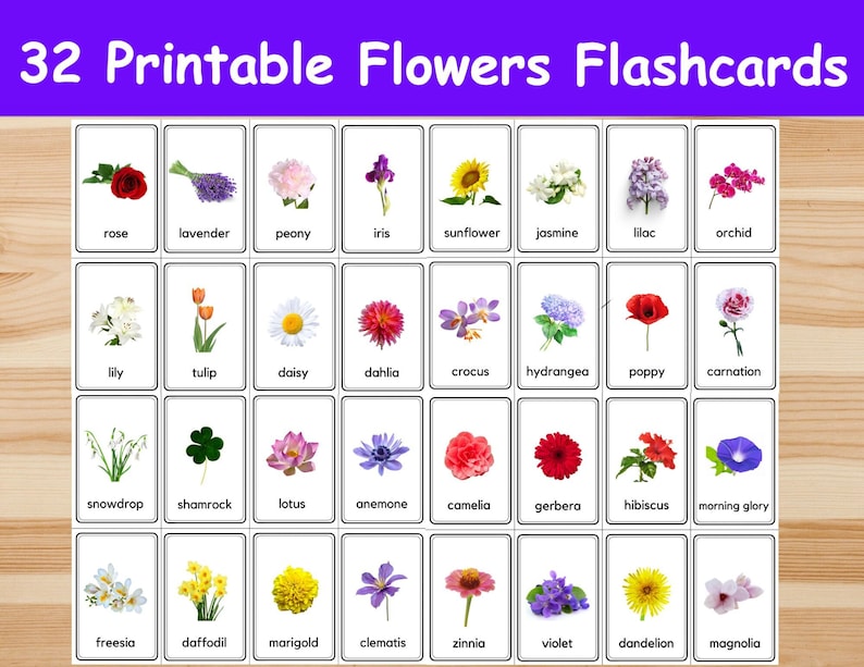32 Flowers Flashcards / Image Cards for Kids, Preschoolers ...