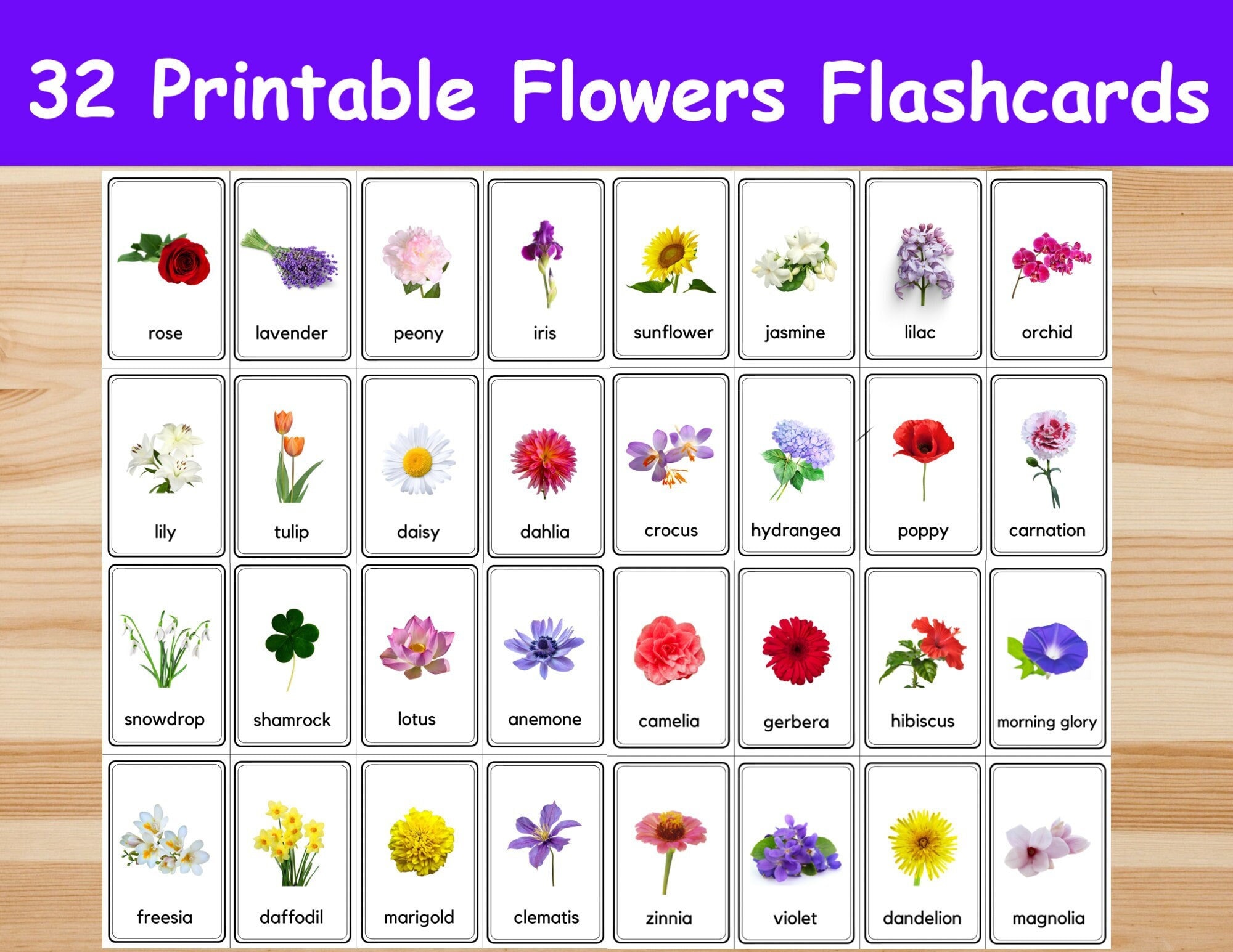 32 Flowers Flashcards / Image Cards for Kids, Preschoolers ...