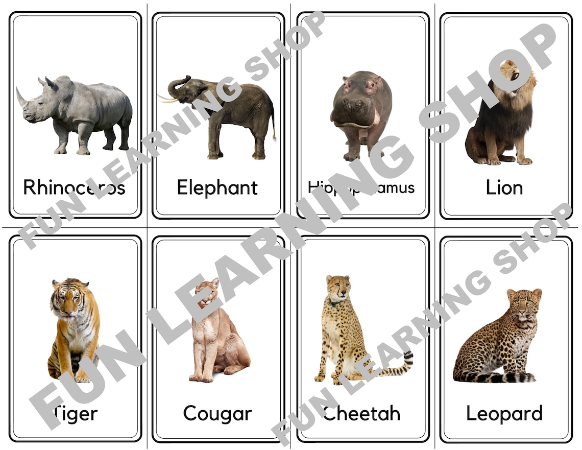 32 Wild Animals Flashcards / Image Cards for Kids. Nomenclature Cards ...