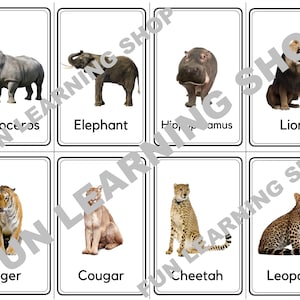 32 Wild Animals Flashcards / Image Cards for Kids. Nomenclature Cards ...