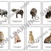 32 Wild Animals Flashcards / Image Cards for Kids. Nomenclature Cards ...