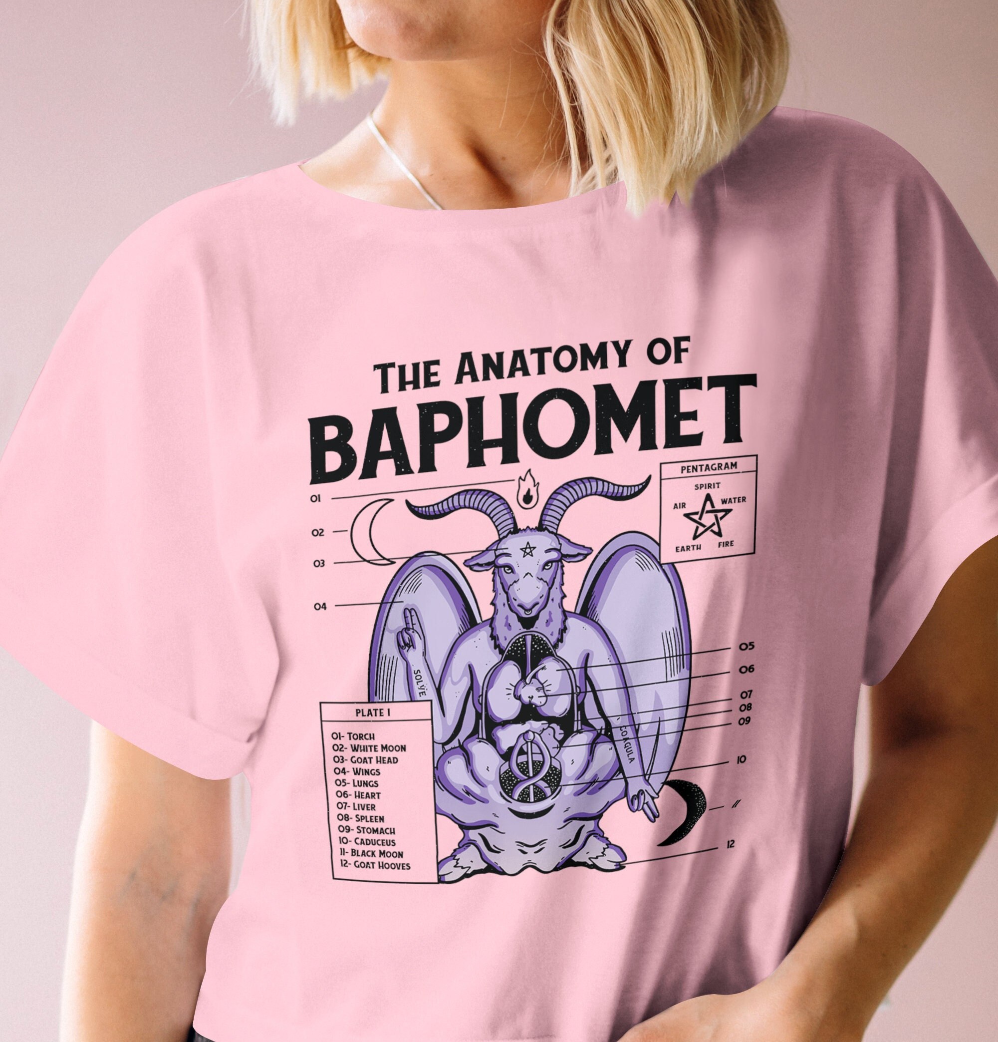 Anatomy of a Baphomet Pastel Goth Shirt Pastel Goth Clothing | Etsy