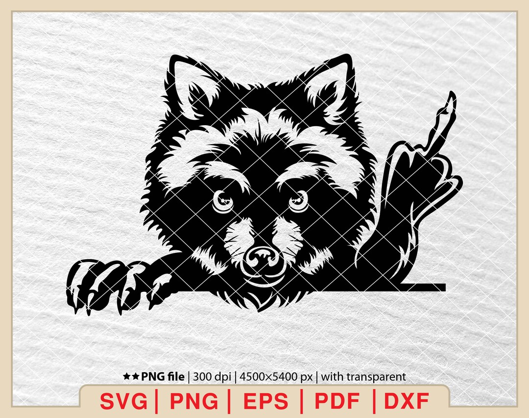 Raccoon SVG, Animal Middle Finger Svg, Scavenger Animal Clipart ...