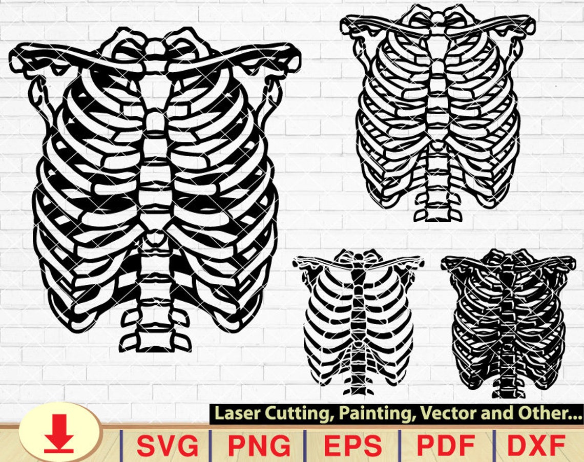 Half Skeleton Ribs Svg Rib Dage Svg Skeleton Svg Half Ribs - Etsy