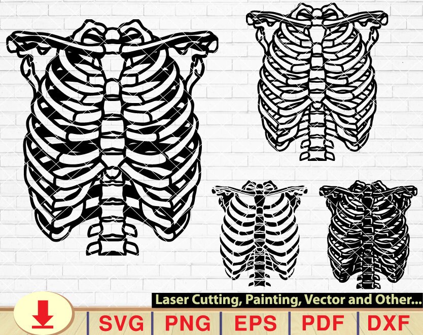 Half Skeleton Ribs Svg Rib Dage Svg Skeleton Svg Half Ribs - Etsy