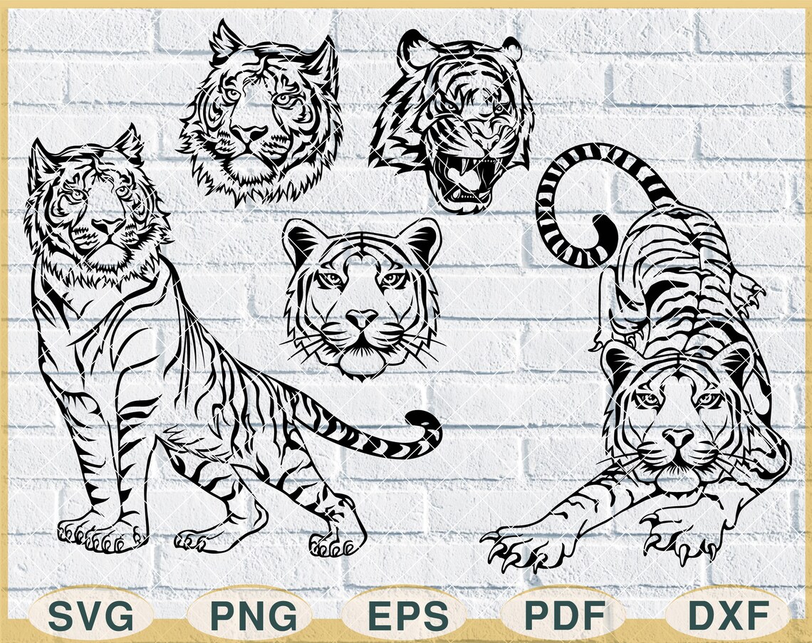 Tiger Svg Tiger Face Svg Tiger Head Svg Tiger Svg Bundle - Etsy