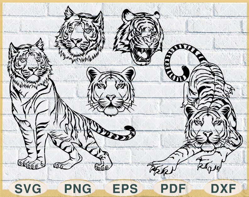 Tiger Svg Tiger Face Svg Tiger Head Svg Tiger Svg Bundle - Etsy