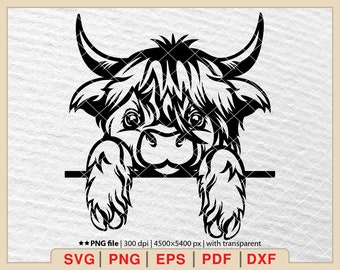 Scottish Highland Cow Svg Png Highland Cow Vector Highland Cow - Etsy