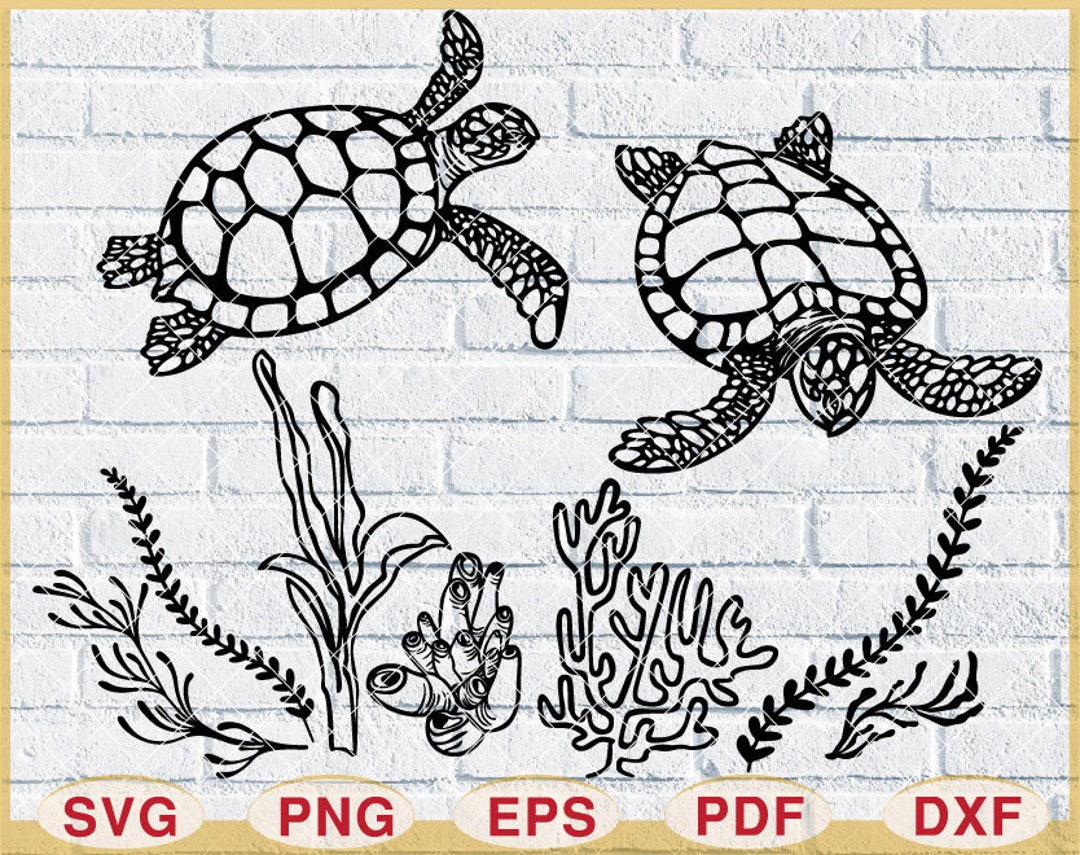 Tortuga marina svg silueta de tortuga tortuga svg trtle svg - Etsy España