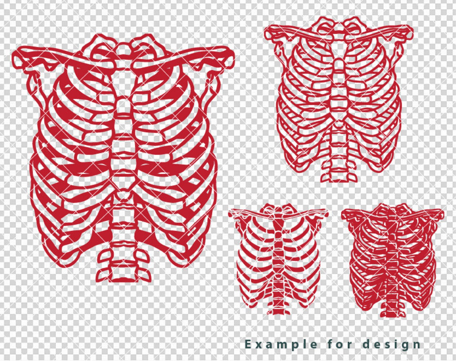 Half Skeleton Ribs Svg Rib Dage Svg Skeleton Svg Half Ribs - Etsy
