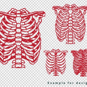 Half Skeleton Ribs Svg Rib Dage Svg Skeleton Svg Half Ribs - Etsy