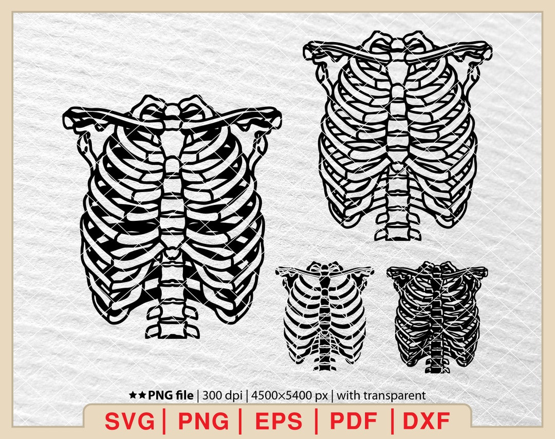 Half Skeleton Ribs Svg, Rib Dage Svg, Skeleton Svg, Half Ribs Svg ...