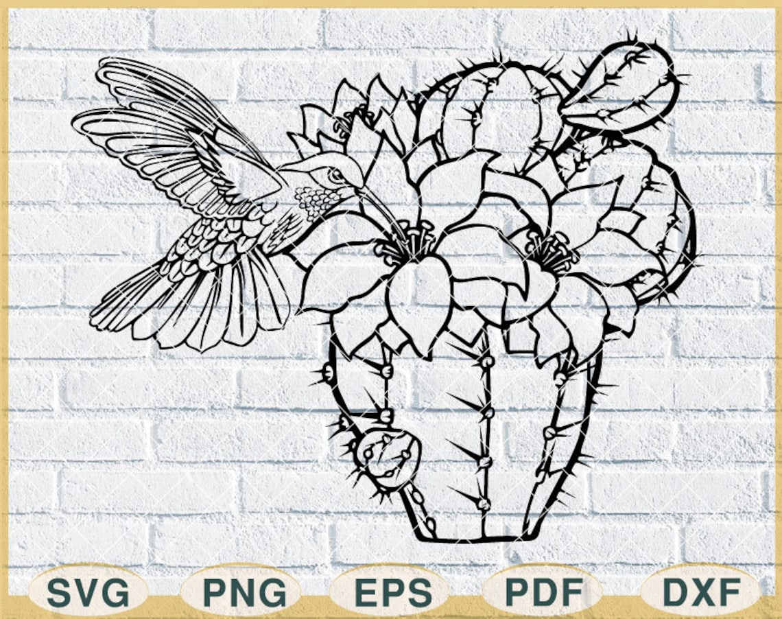 Hummingbird Cactus Flower Svg Hummingbird Flowers Svg | Etsy