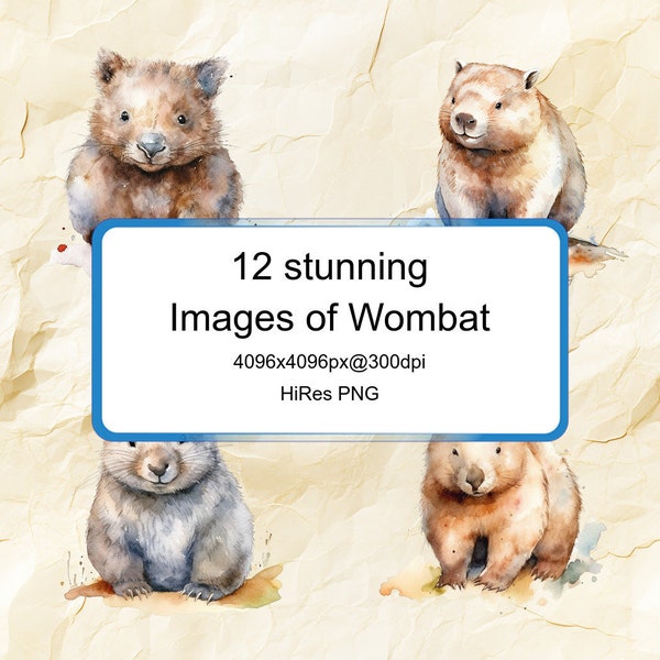 Wombat - Etsy