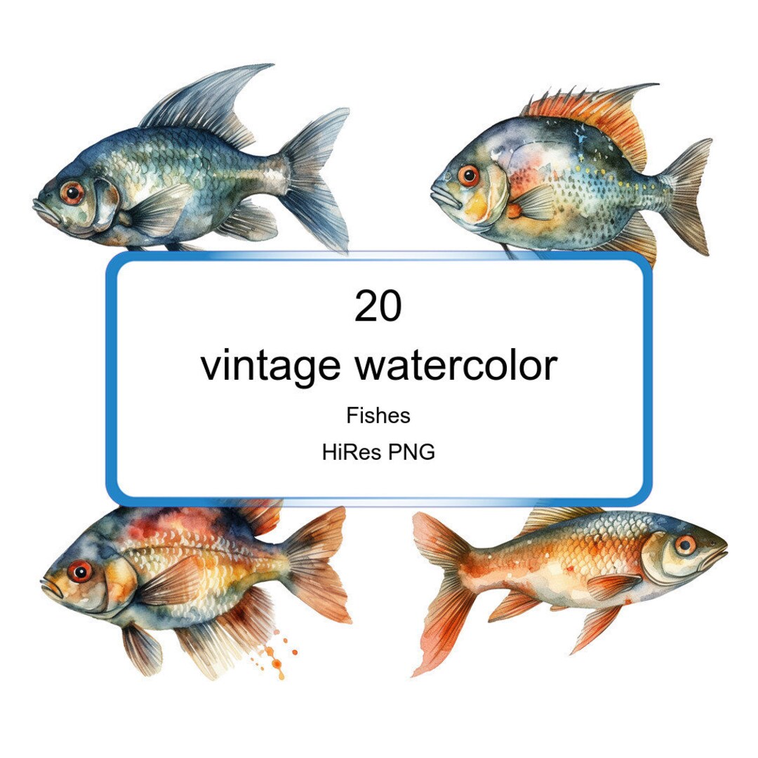 20 Watercolor Fish Portraits as Printable PNG Clipart Bundle - Etsy