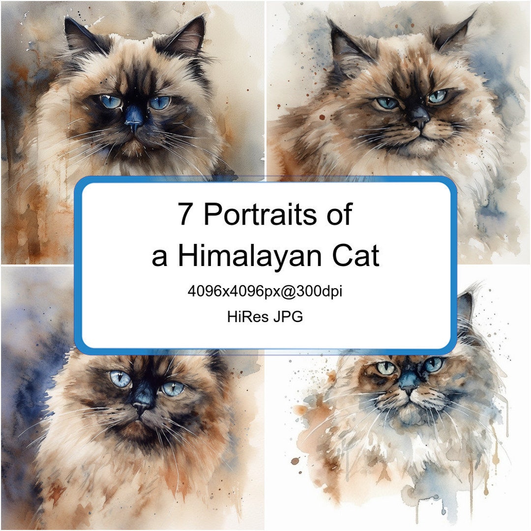 7 Beautiful Himalayan Cat Portraits for Printable Wall Art - Etsy
