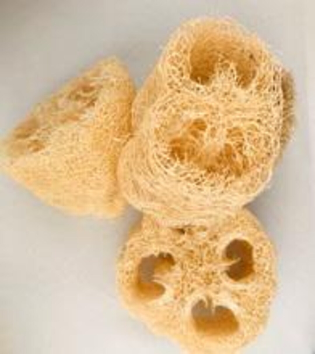 3" Natural Plant-grown Luffa/loofah Sponge | Exfoliating & Eco-friendly ...