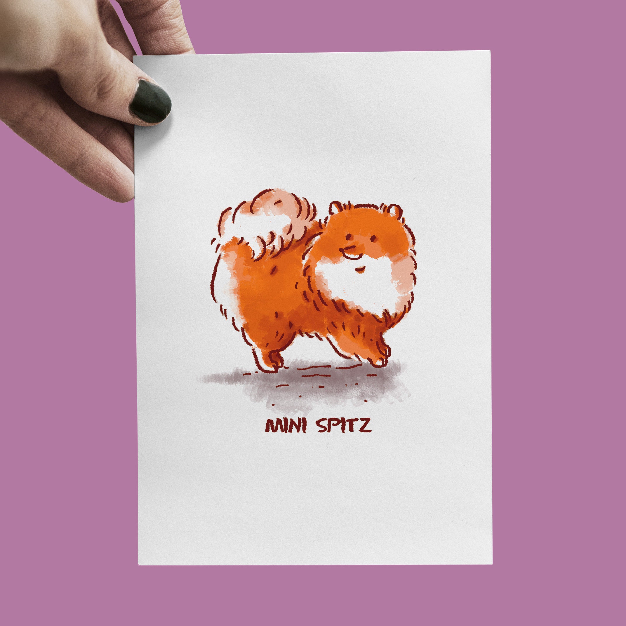 German Spitz Illustration Cute Spitz Art Cute Pomeranian - Etsy