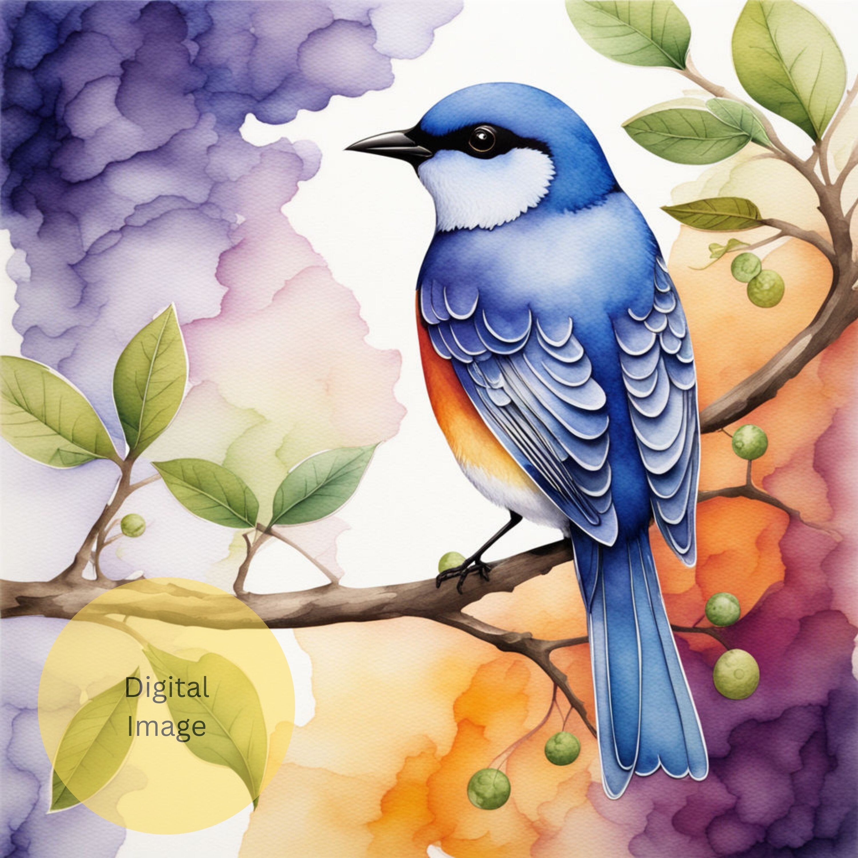 Beautiful Watercolor Birds, Use for Cards, Scrapbooking, Wall Art ...