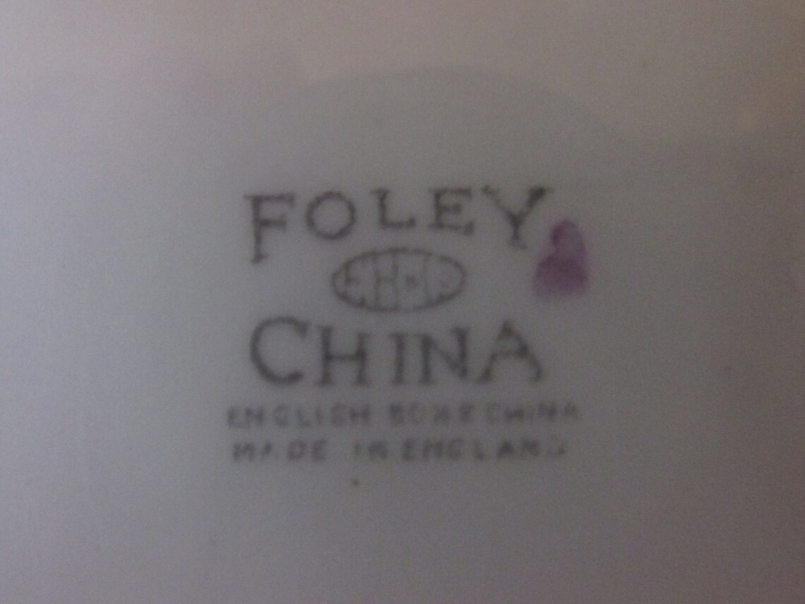 Vintage Foley English Bone China Cup & Saucer - Unusual Floral Pattern ...