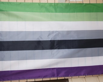 Demi Aroace 'pan Flag - Etsy