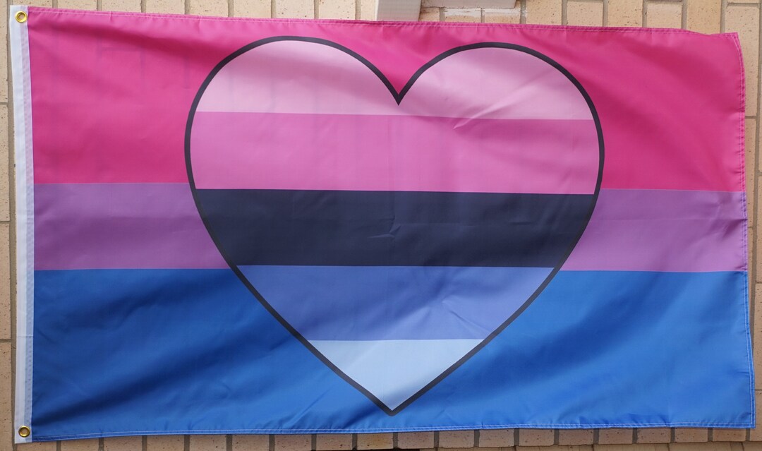 Bisexual Omniromantic Biromantic Omnisexual Pride Flag Large 3 X 5 Etsy