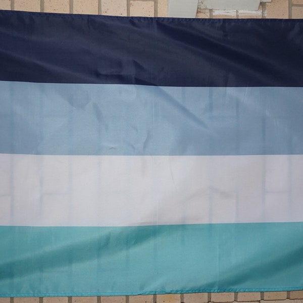 Oriented Aroace Flag - Etsy