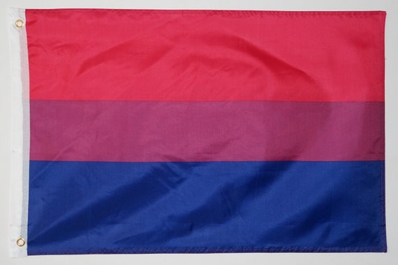 Bisexual Pride Flag 2'x3'60cmx90cm - Etsy