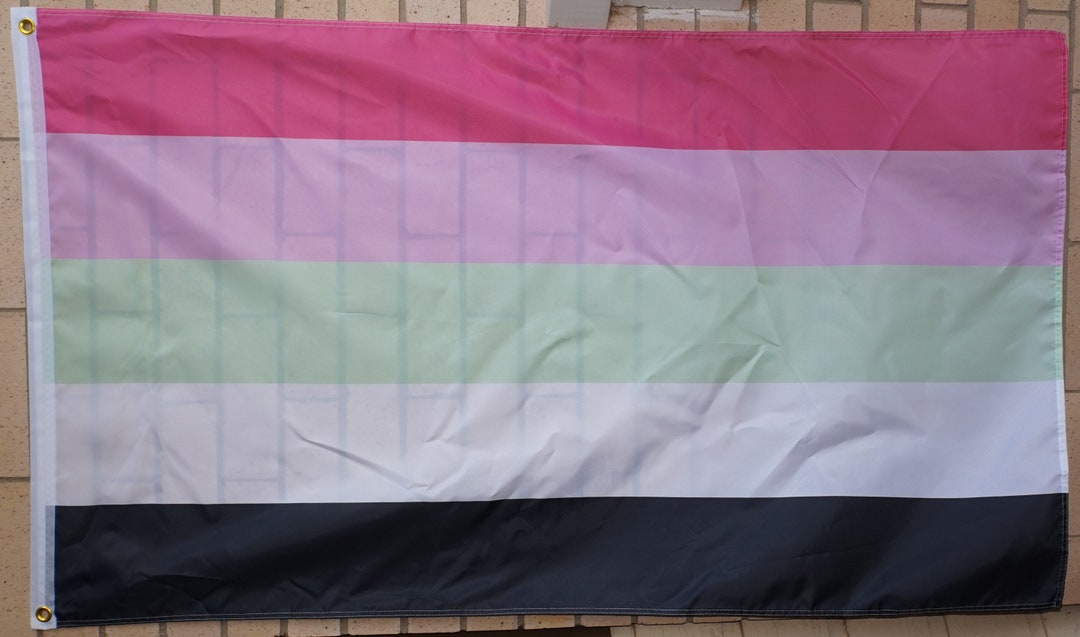 Recipromantic Pride Flag Large 3' X 5' - Etsy