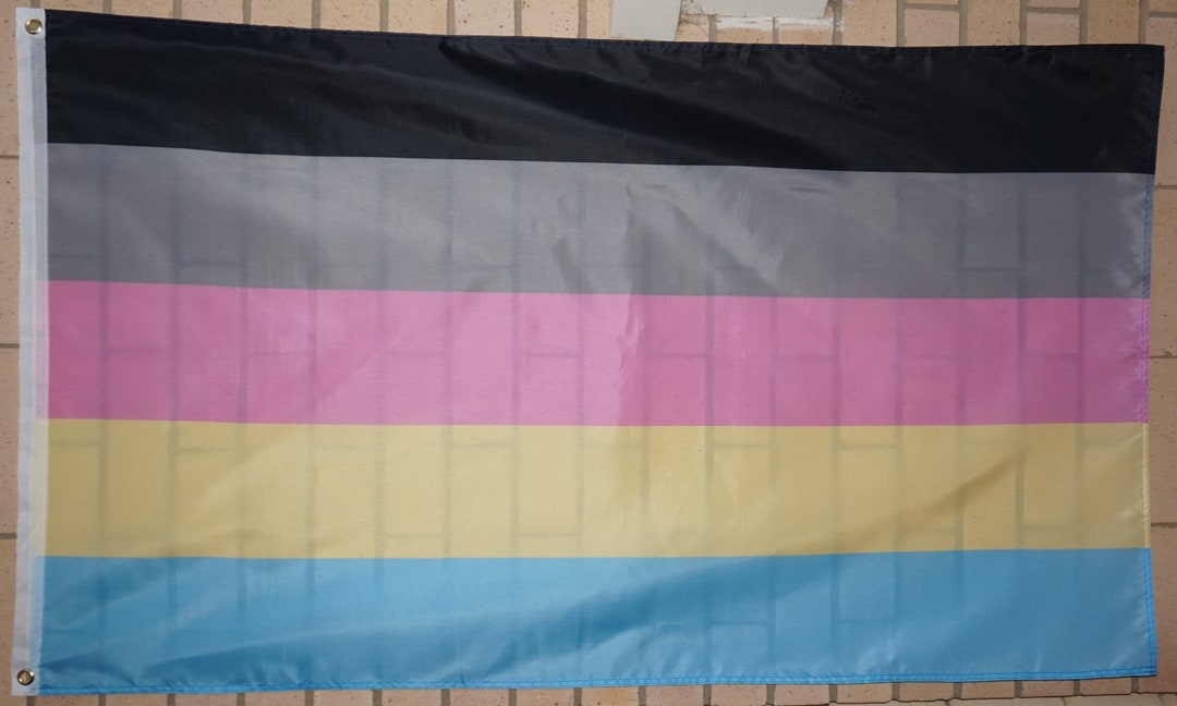 Polygender Pride Flag 3' X 5' - Etsy