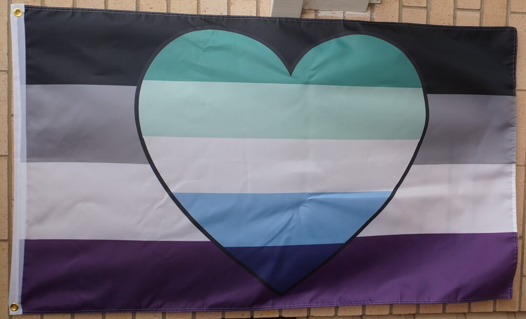 Gay Man Ace Asexual Vincian Pride Flag Large 3' X 5' - Etsy