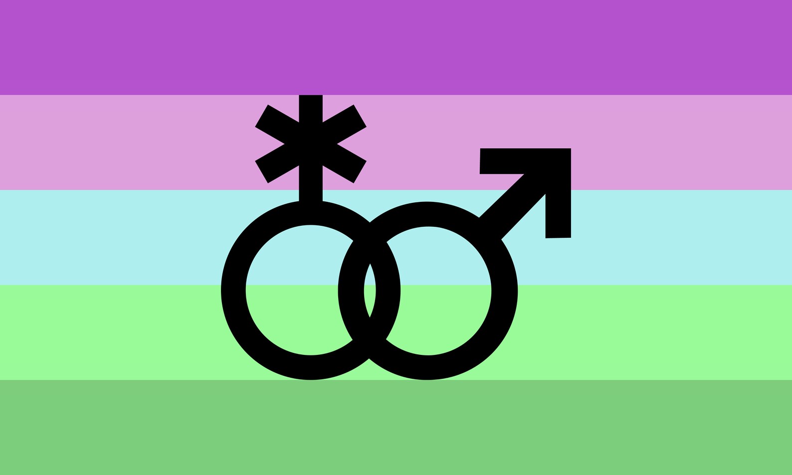 Pre-order: Toric with Symbols Pride Flag Large 3' X | Etsy