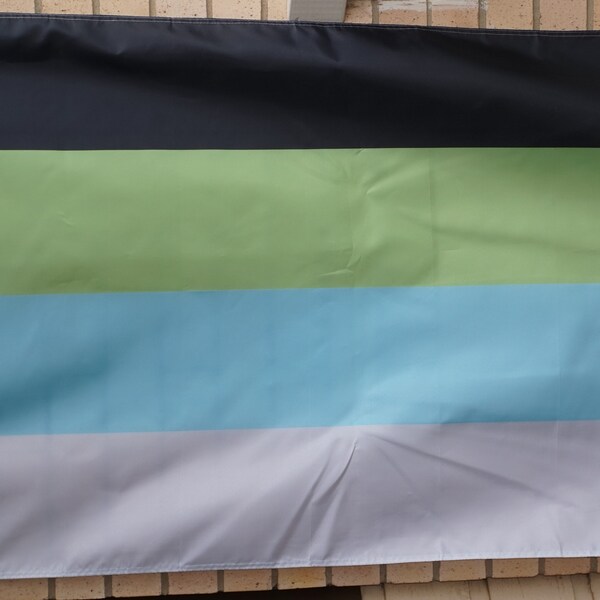 Quoiromantic Flag - Etsy
