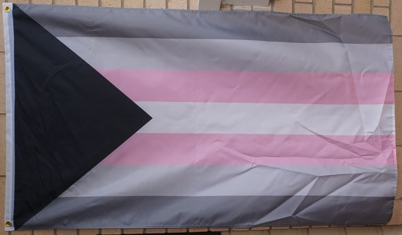Demisexual Demigirl/demiwoman Pride Flag Large 3' X 5' - Etsy