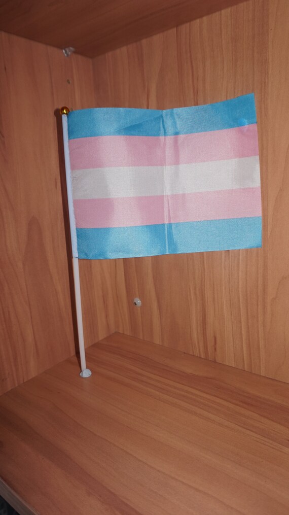 Transgender Pride Flag Small Handheld | Etsy Australia