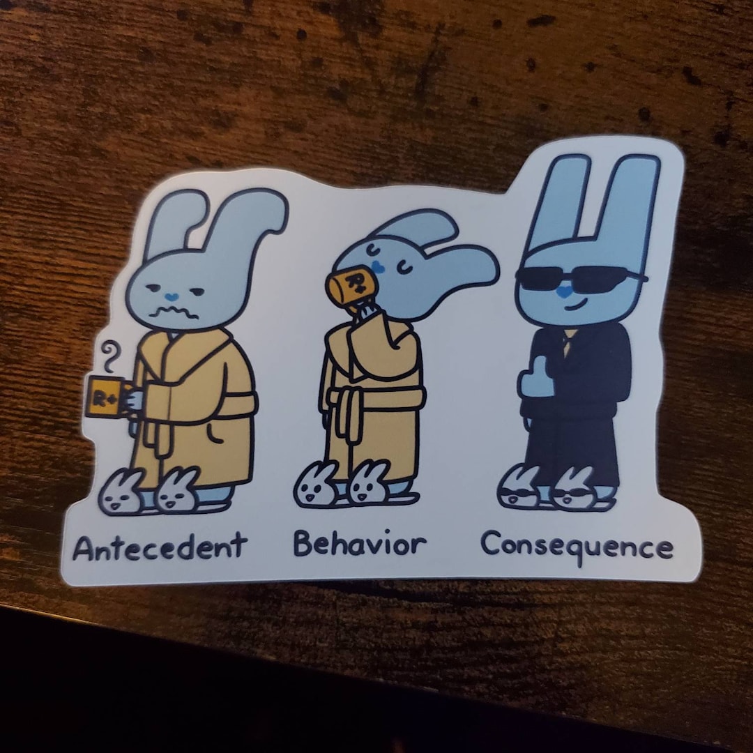 Antecedent Behavior Consequence (3 Pack) - Etsy