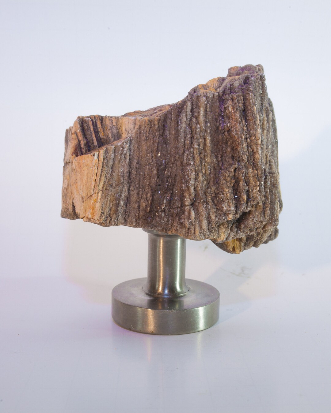 Perimineralized Petrified Wood With Purple Druzy Amethyst Quartz ...