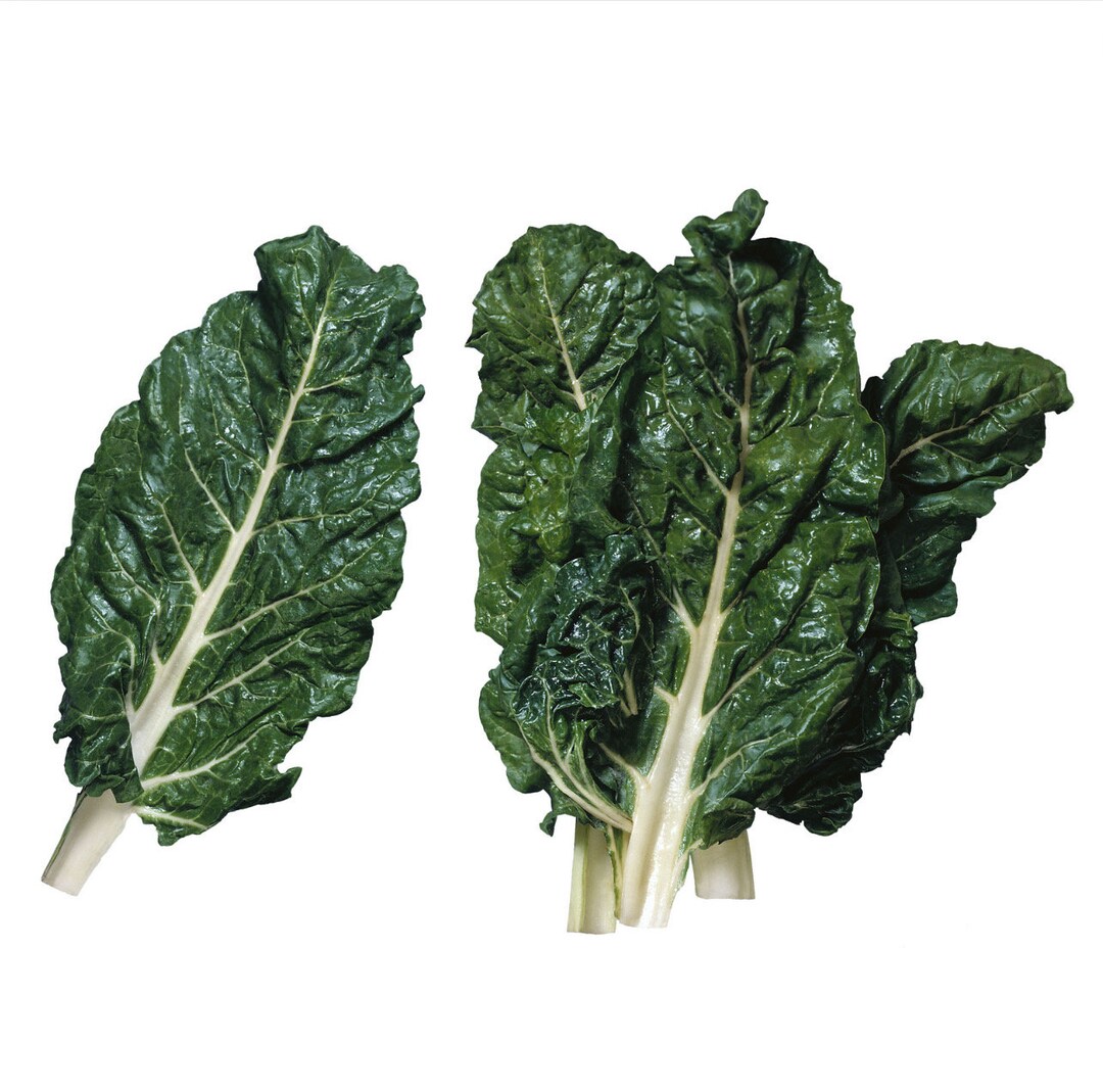 Swiss Chard Seeds Giant Fordhook - Etsy