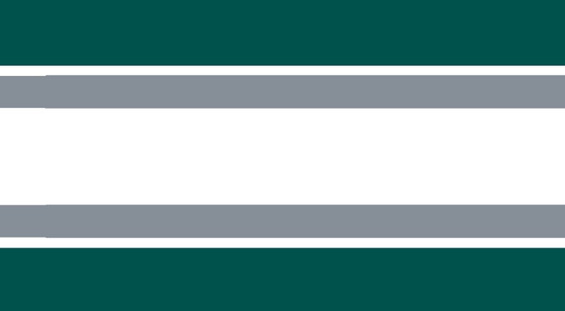 Philadelphia Eagles Wallpaper Border - Etsy