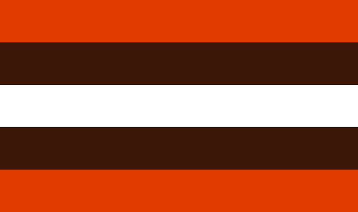 Cleveland Browns Custom Wallpaper Border - Etsy