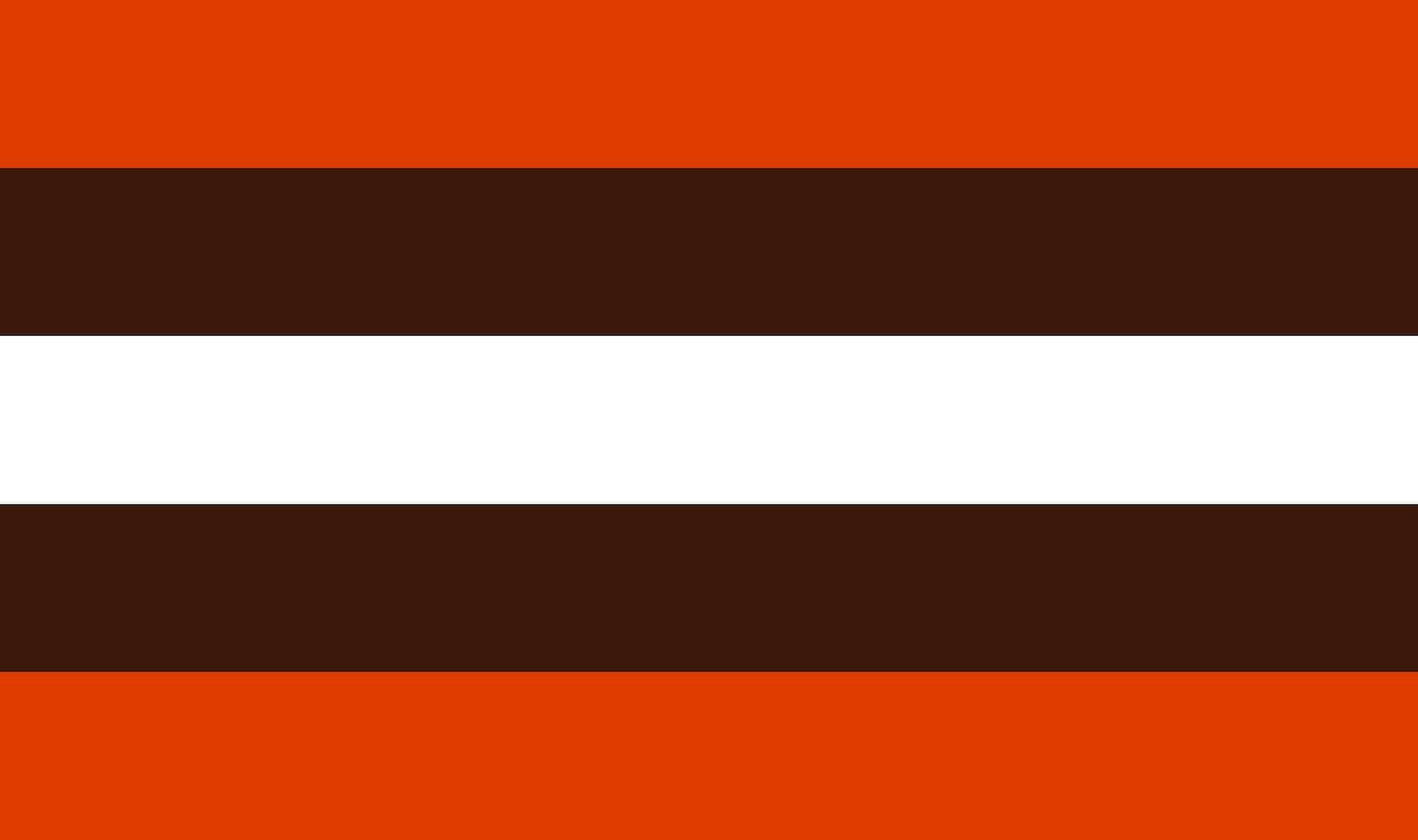 Cleveland Browns Custom Wallpaper Border - Etsy