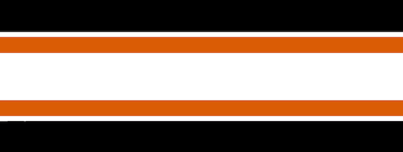 Cincinnati Bengals NFL Team Wallpaper Border | Etsy