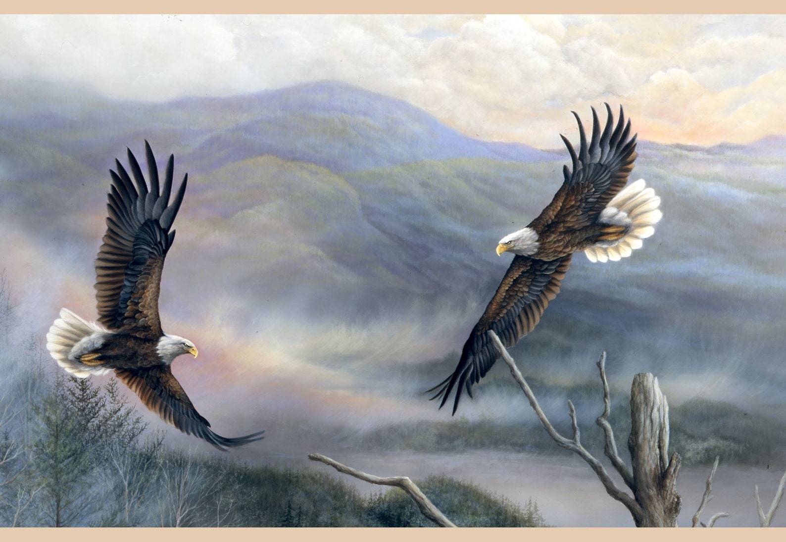 Eagle's Wings Wallpaper Border - Etsy