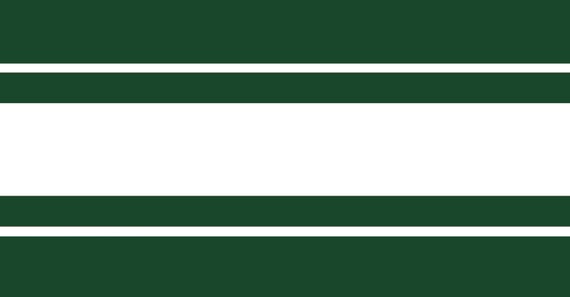 New York Jets Wallpaper Border | Etsy