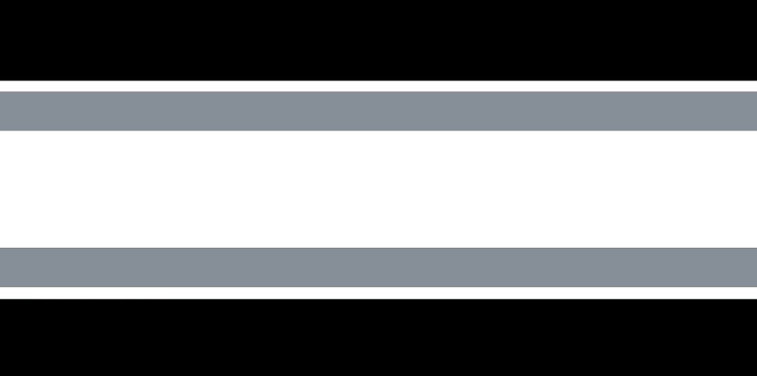 Las Vegas Raiders Wallpaper Border - Etsy