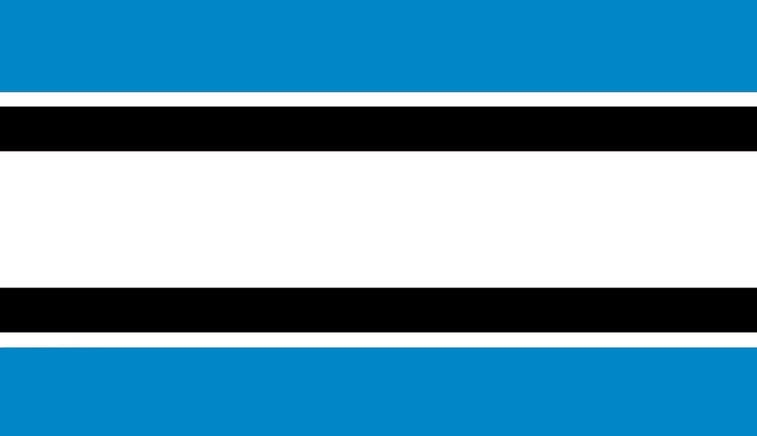 Carolina Panthers Wallpaper Border - Etsy