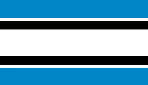 Carolina Panthers Logo Wallpaper Stripes Carolina Panthers Logo And