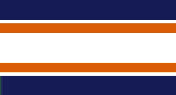 Edmonton Oilers NHL Wallpaper Border | Etsy
